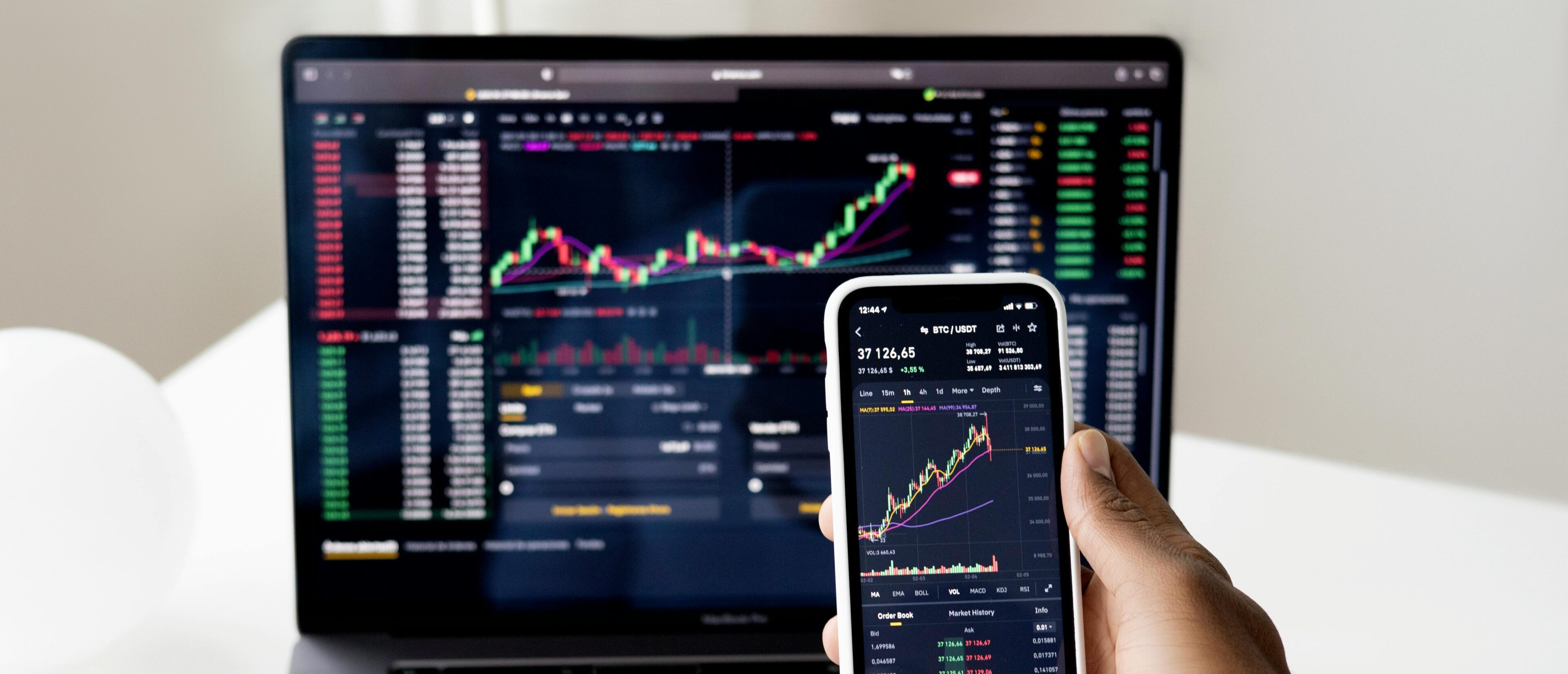 What is a Bull Market: Meaning and Examples - Tavex United Kingdom